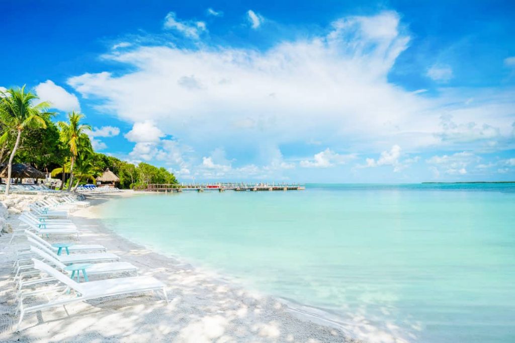 Amazing High Quality 24/7 Key Largo Webcams from USA.