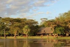 Best High Quality 24/7 Kenya Webcams Live Stream.