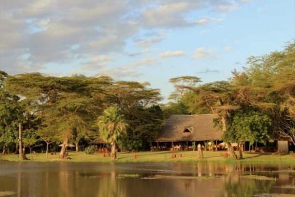 Best High Quality 24/7 Kenya Webcams Live Stream.