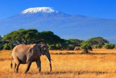 Best High Quality 24/7 Kenya Webcams Live Stream.